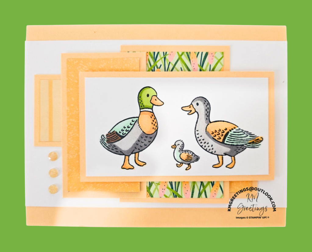 No Sentiment (3 Duck Family on Peach) Greeting Card - LUVLOCAL